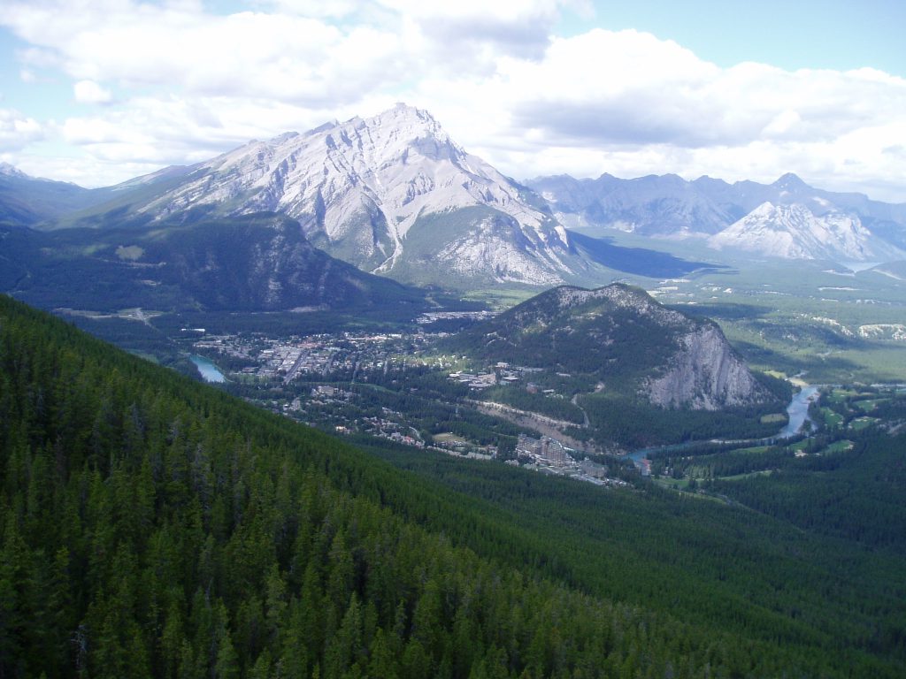 Alla Mysko-Henke – ATIA